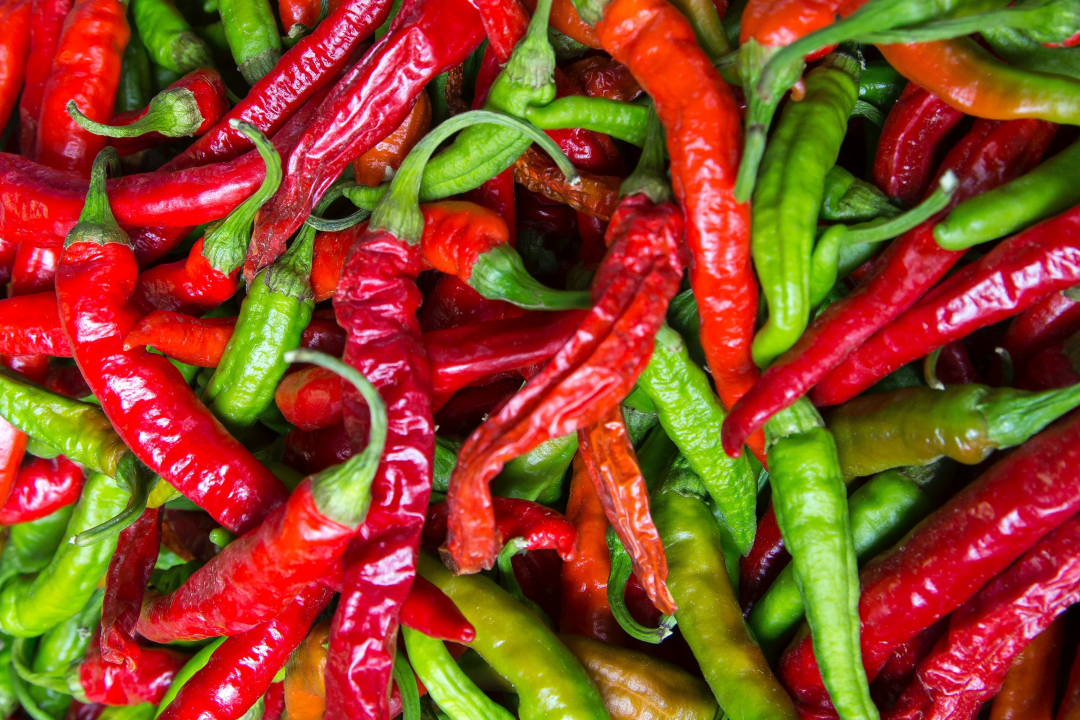 Cabe Keriting Si Pedas Merah dan Potensi Ekspornya! - ExportHub.id